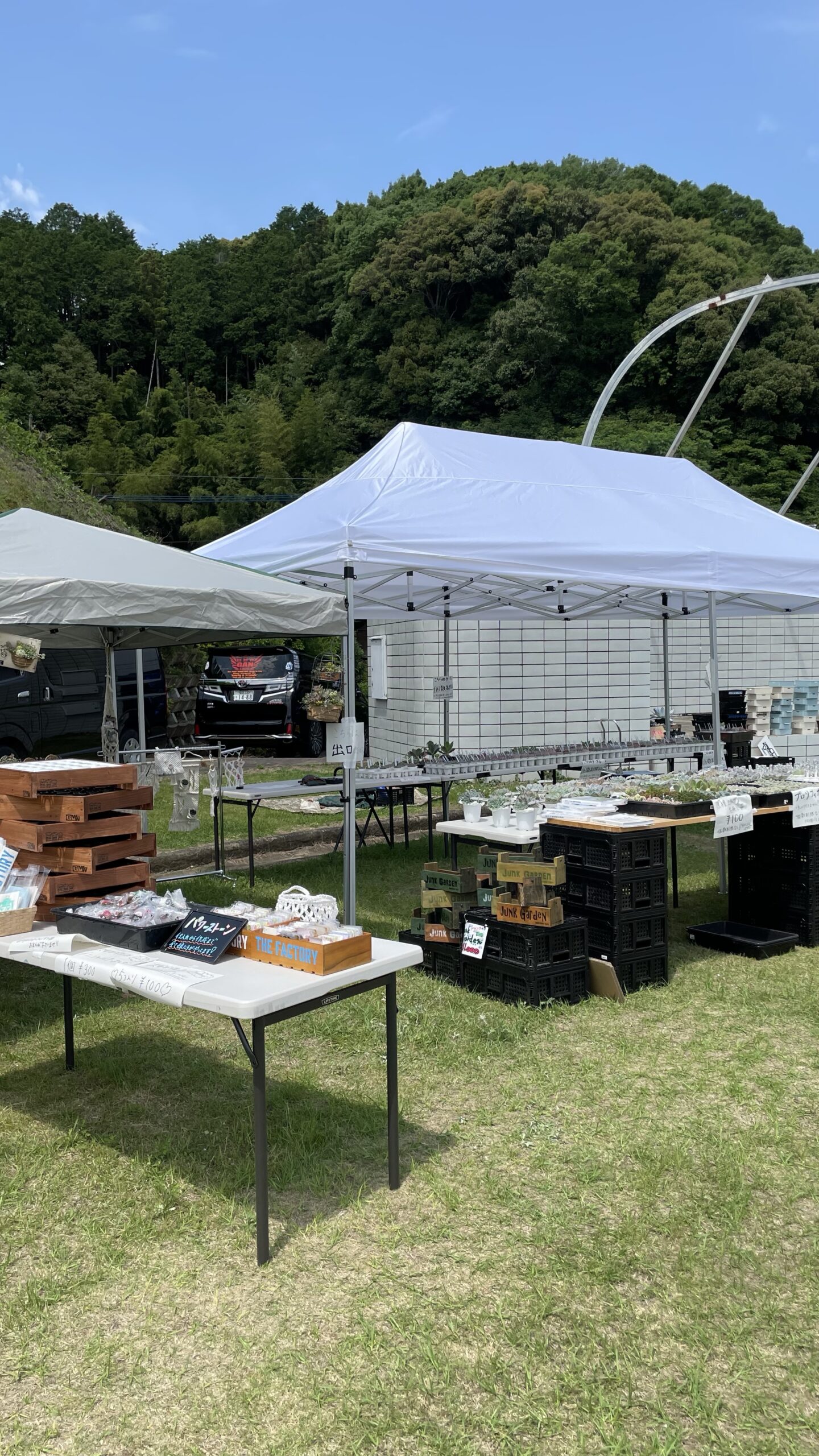 TA29JAMBORI2023（多肉ジャンボリー）が開催されました - NikuoBLOG