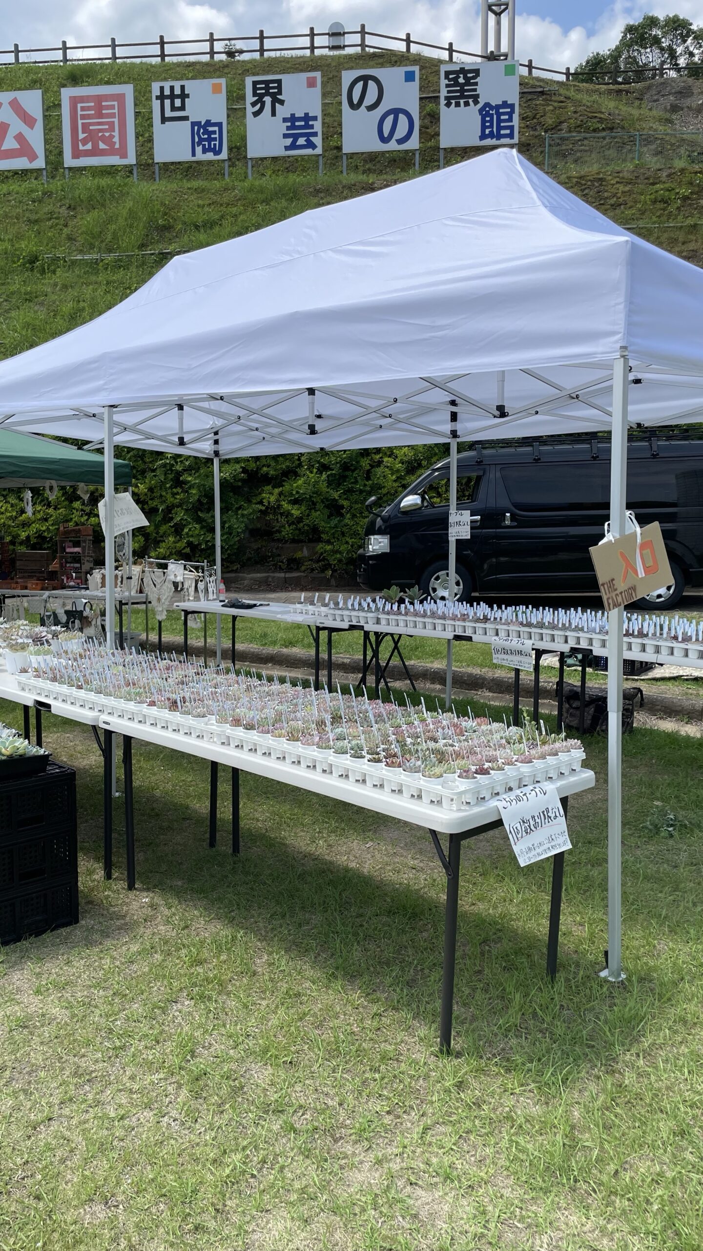 TA29JAMBORI2023（多肉ジャンボリー）が開催されました - NikuoBLOG