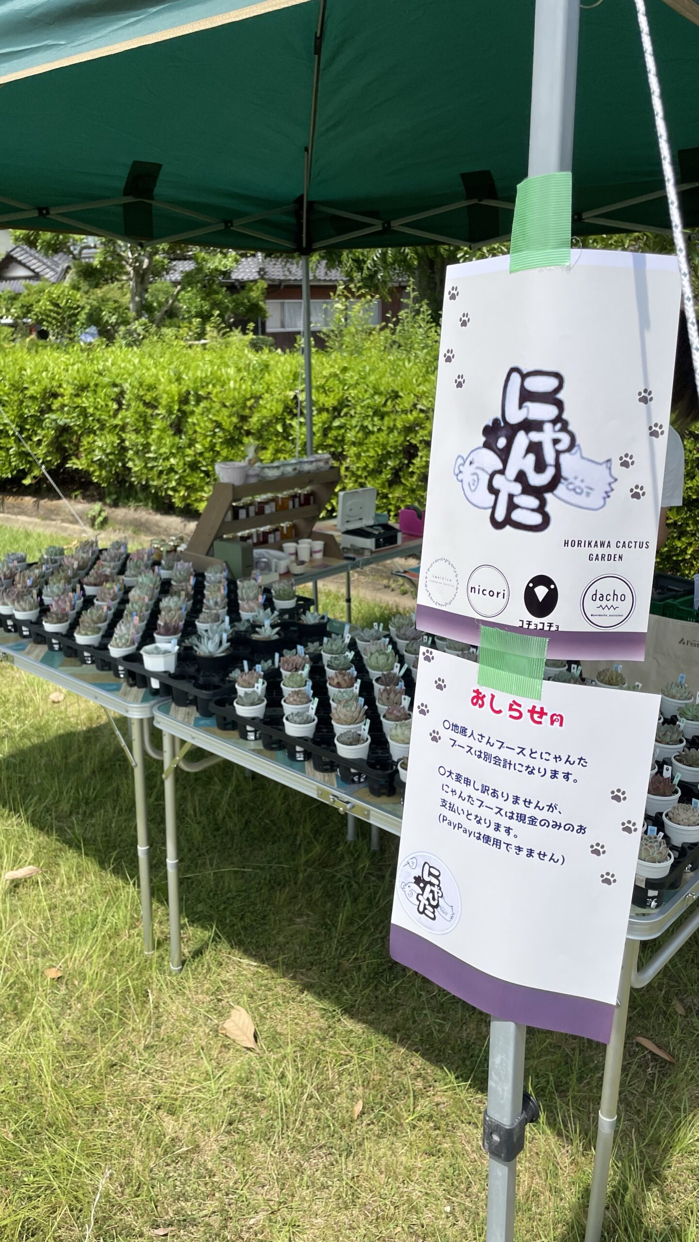 TA29JAMBORI2023（多肉ジャンボリー）が開催されました - NikuoBLOG