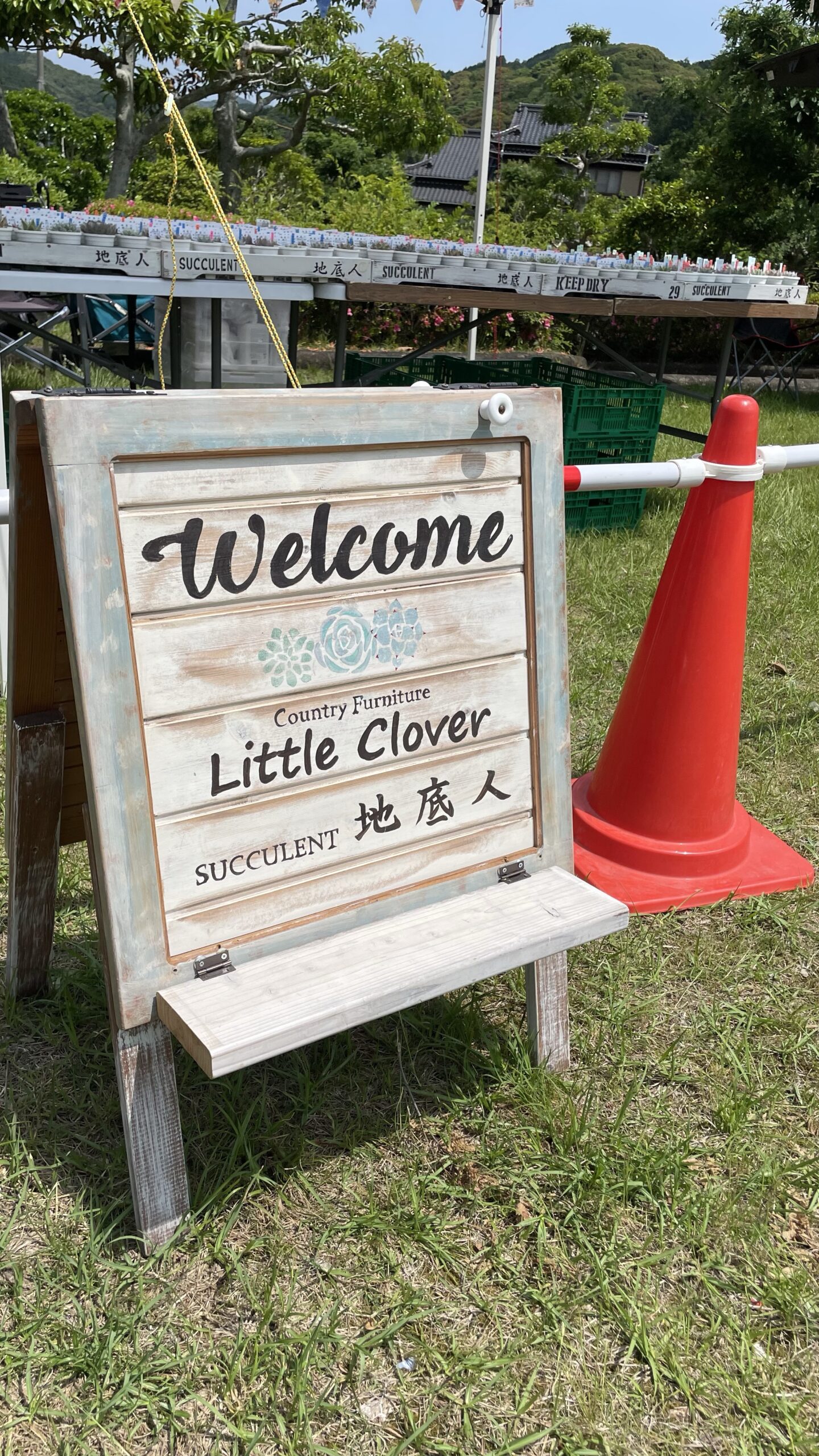 TA29JAMBORI2023（多肉ジャンボリー）が開催されました - NikuoBLOG