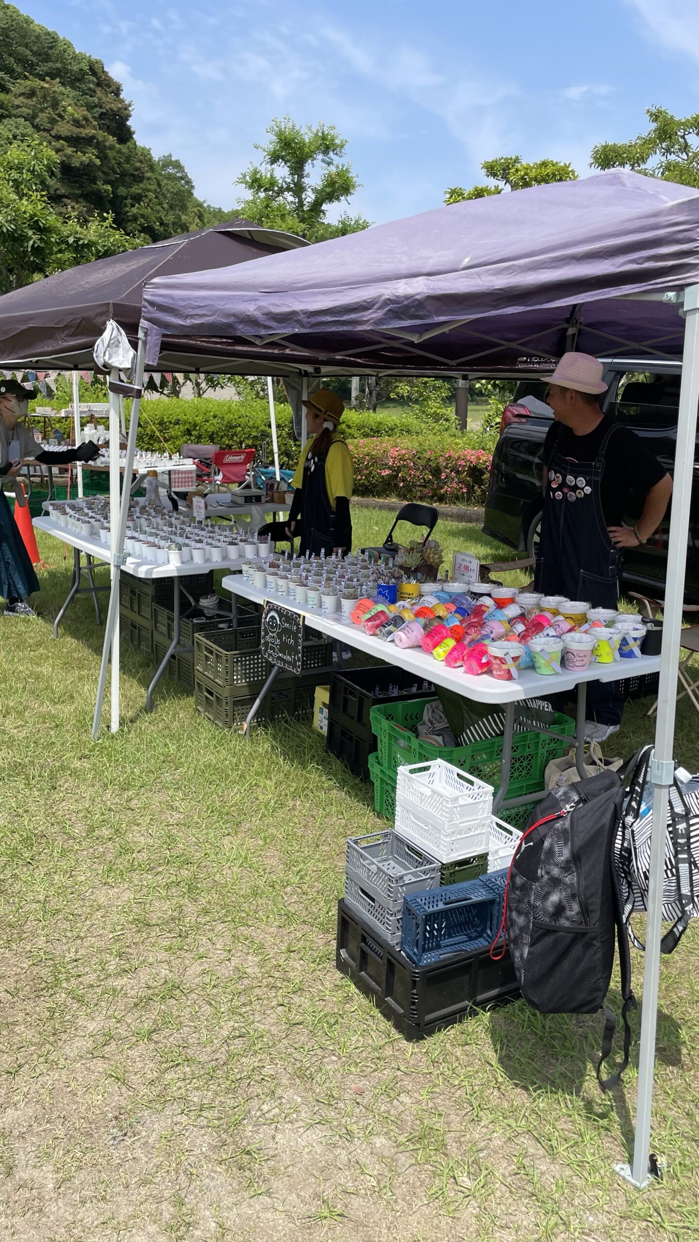 TA29JAMBORI2023（多肉ジャンボリー）が開催されました - NikuoBLOG