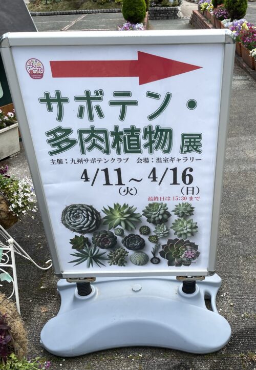 九州のおすすめ多肉植物のイベント - NikuoBLOG