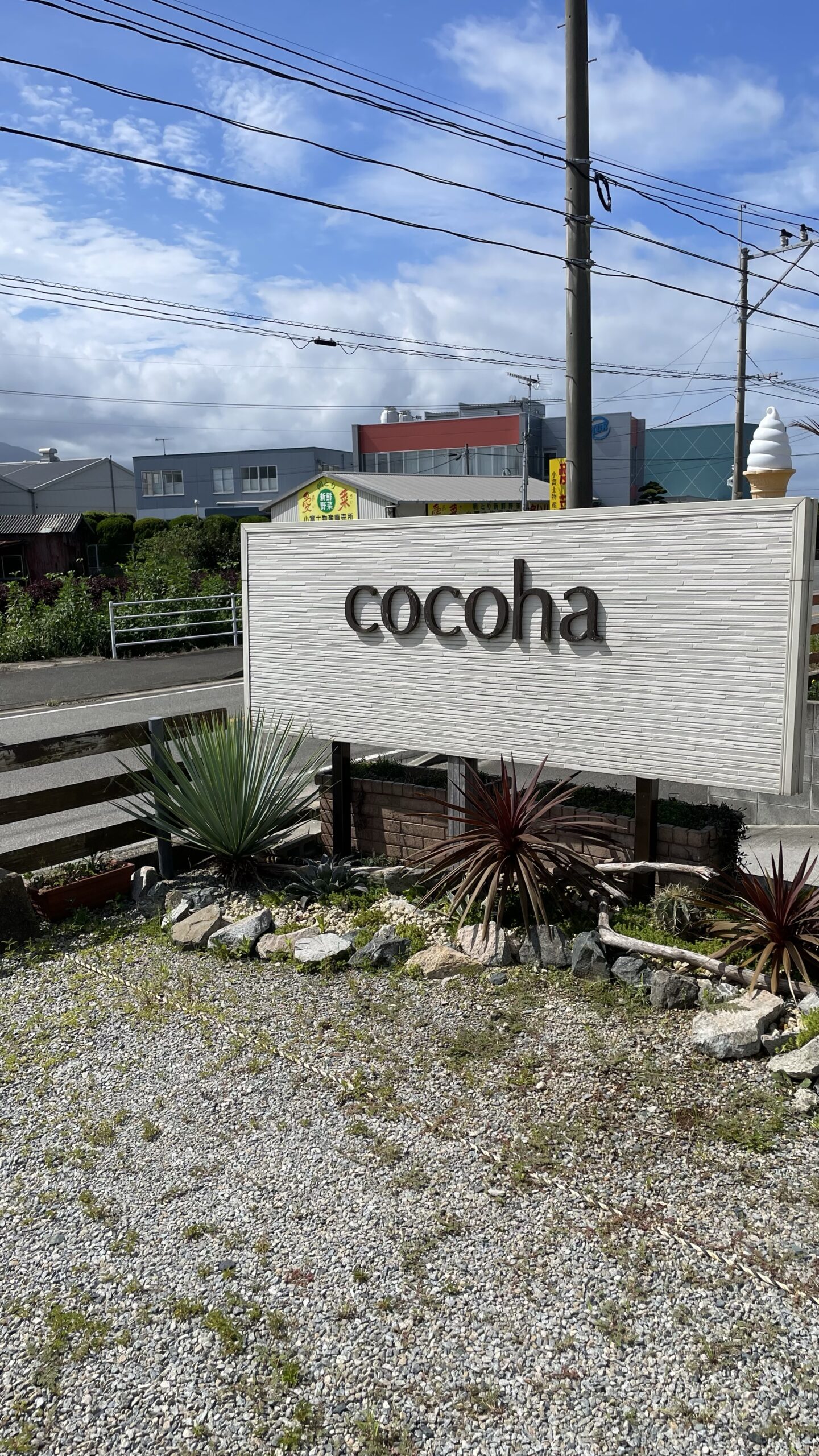 糸島市にある観葉植物専門店cocoha - NikuoBLOG