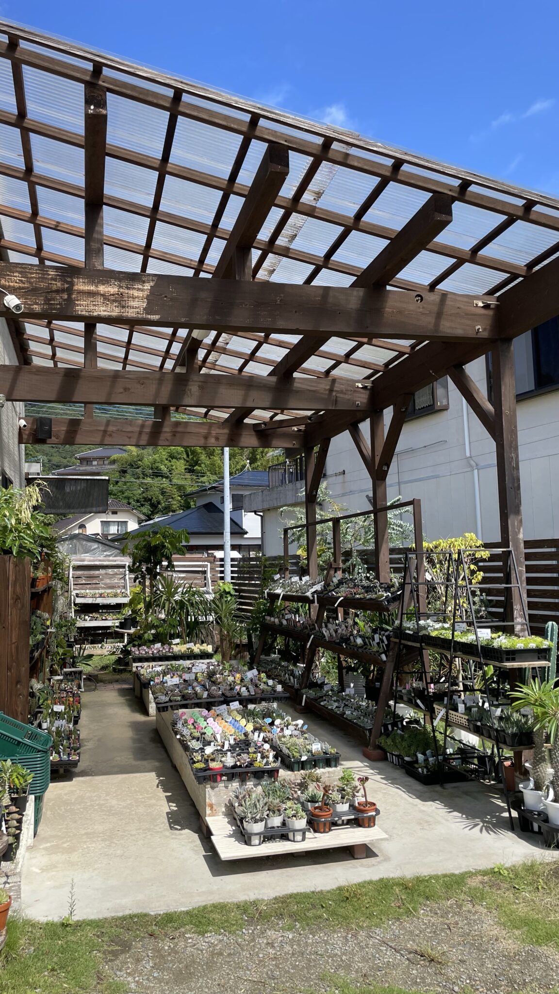 糸島市にある観葉植物専門店cocoha - NikuoBLOG