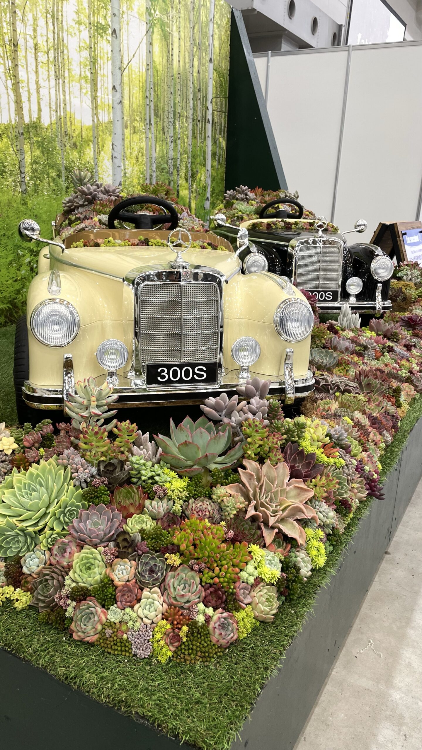 第3回ガーデニング愛の祭典、花友フェスタが開催されました！ - NikuoBLOG