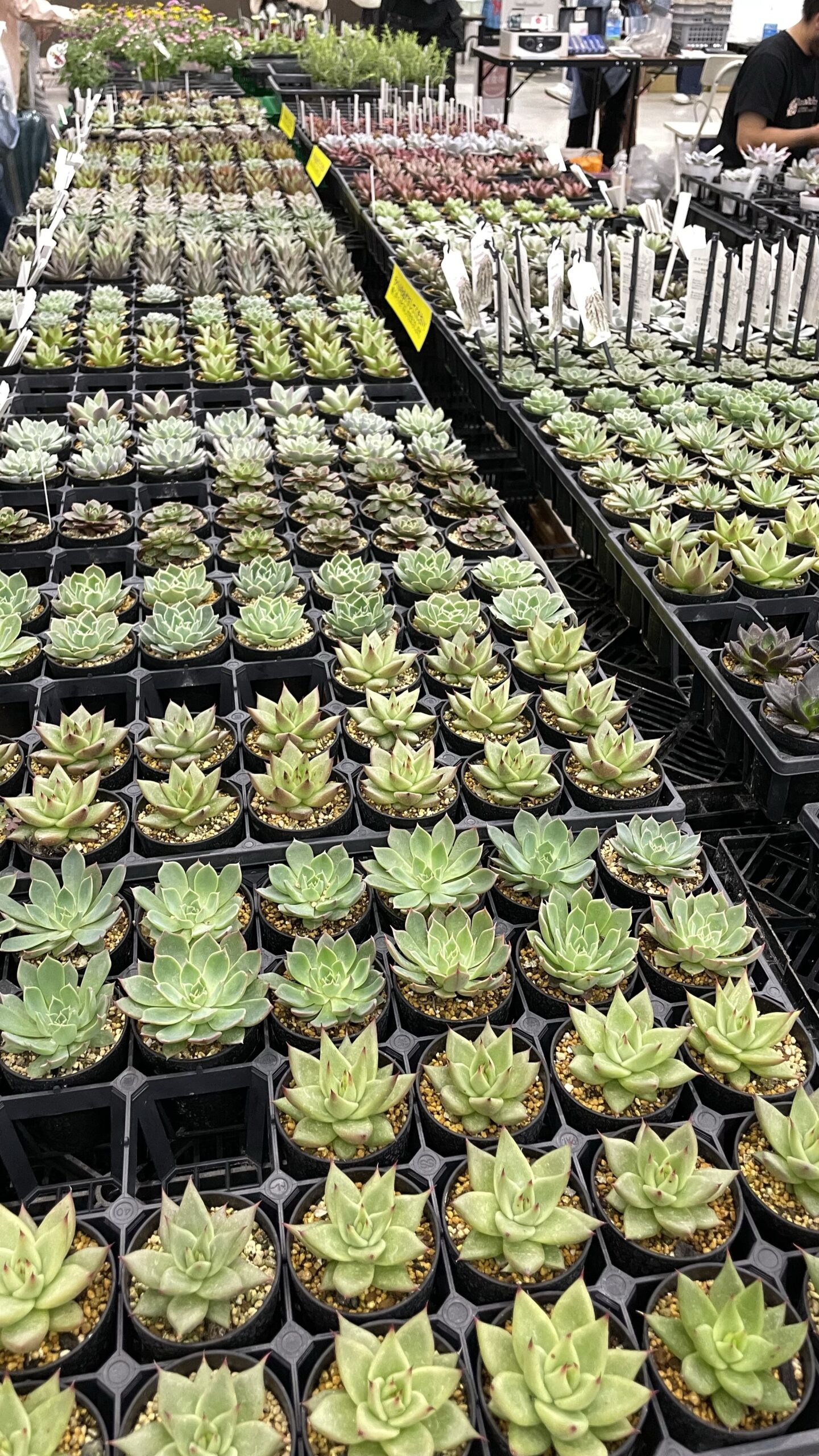 第3回ガーデニング愛の祭典、花友フェスタが開催されました！ - NikuoBLOG