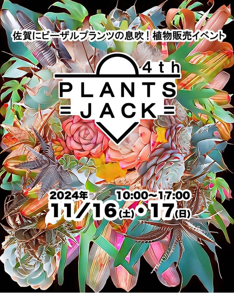 TA29DIVE（多肉ダイブ） 福岡 多肉植物イベント - NikuoBLOG